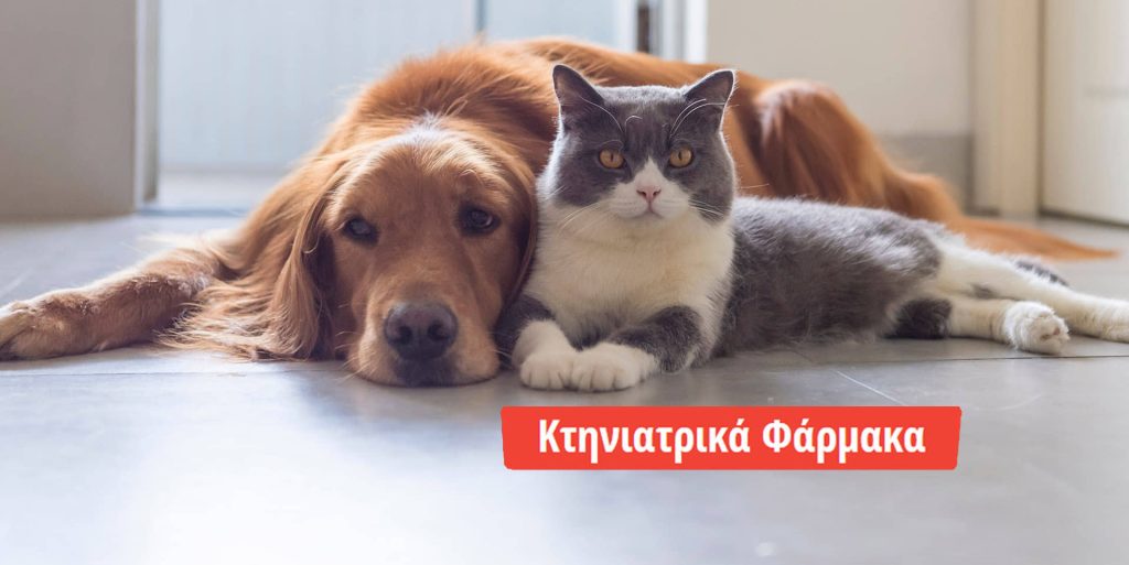 Κτηνιατρικά Φάρμακα Πάτρα | Γιωτόπουλος Μιχάλης | Κτηνίατρος Πάτρα